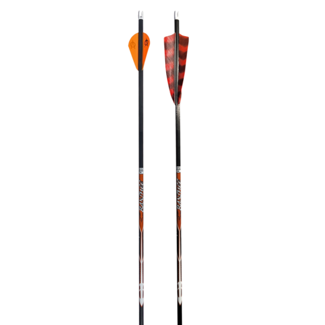 Dr Ed Ashby Top 12 Arrow Penetration Enhancing Factors